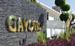 Estado de cuenta Gayosso | ¡Consúltalo aquí! 2023